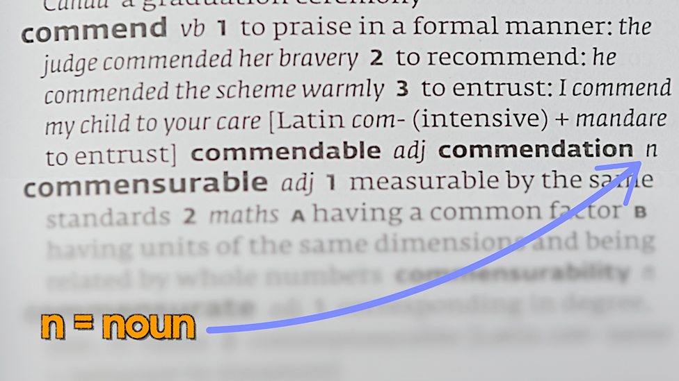 How to use a dictionary - BBC Bitesize