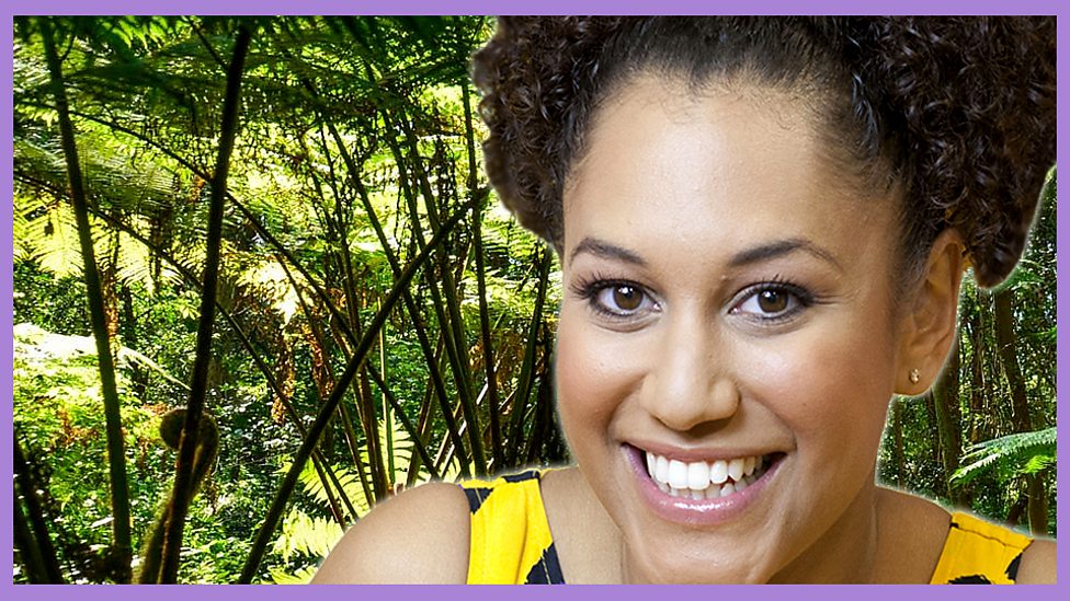 KS1 Dance: Let's Move - BBC Bitesize