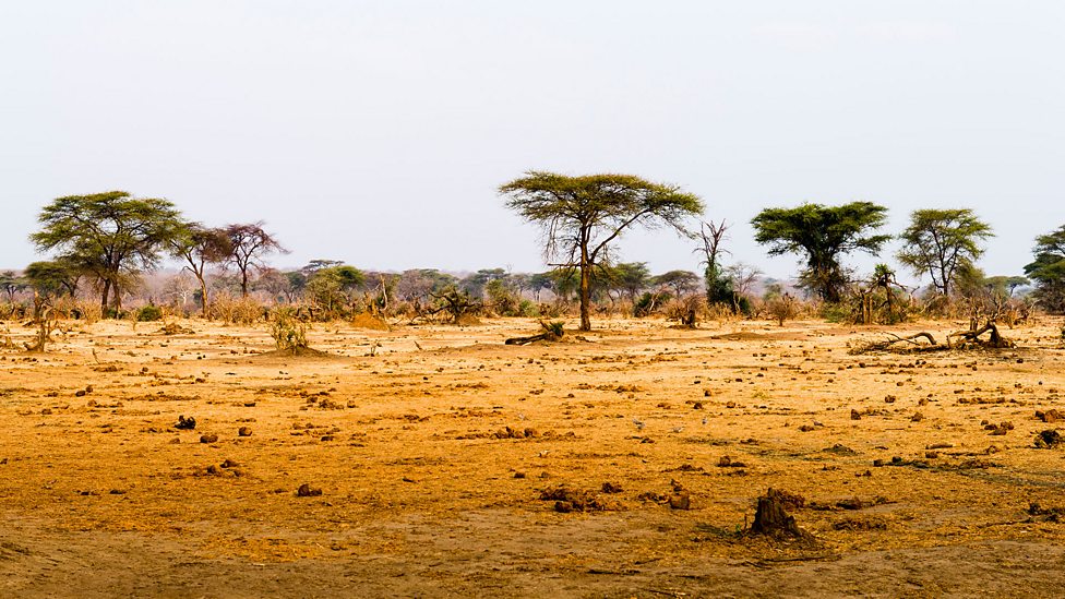 What are biomes? - BBC Bitesize