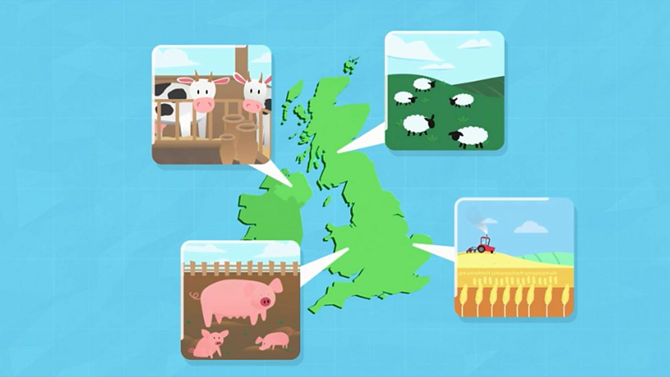 Sustainability - Year 6 Geography - BBC Bitesize