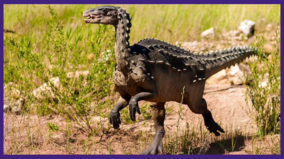 KS1 Dance: Time to Move. Dinosaurs - BBC Teach