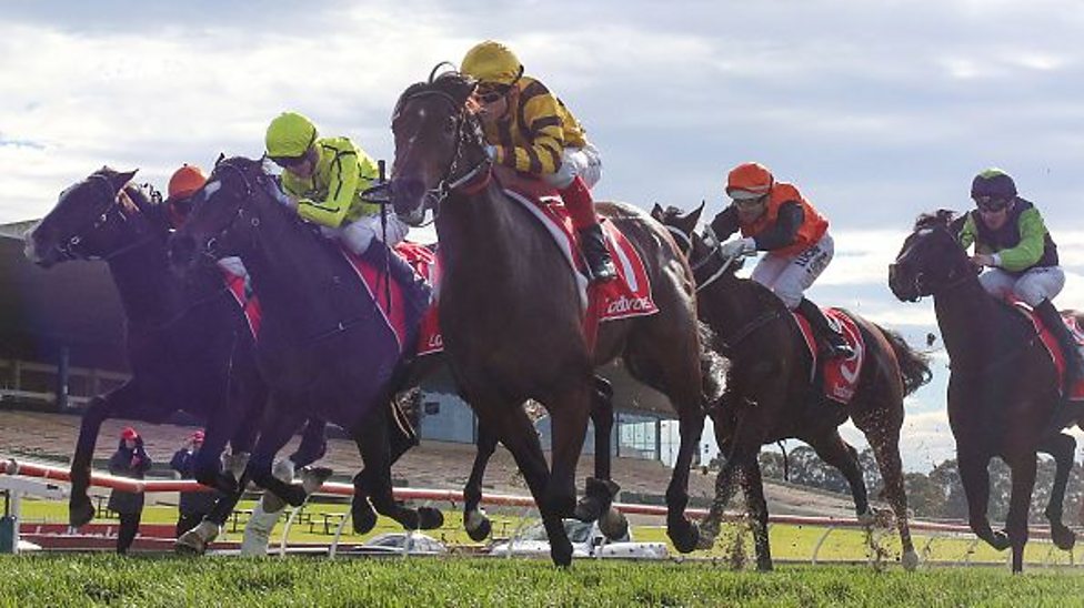 Six stories behind horse racing jargon - BBC Bitesize