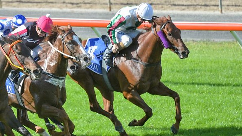 Six stories behind horse racing jargon - BBC Bitesize