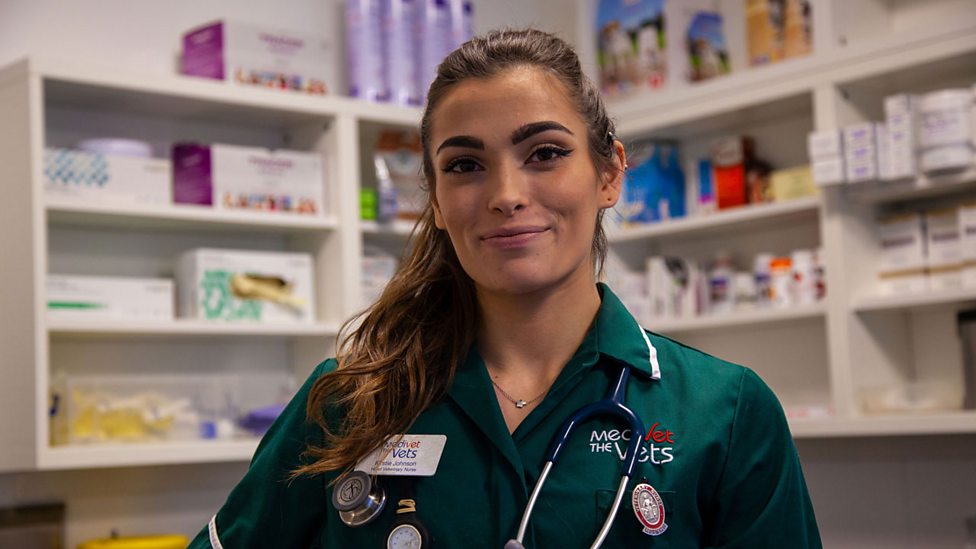 Bitesize Careers: How to get a job as a veterinary nurse in the UK ...