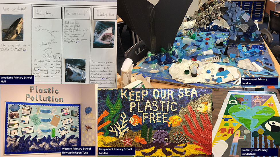 Blue Planet Live Lesson – Your Work - BBC Teach