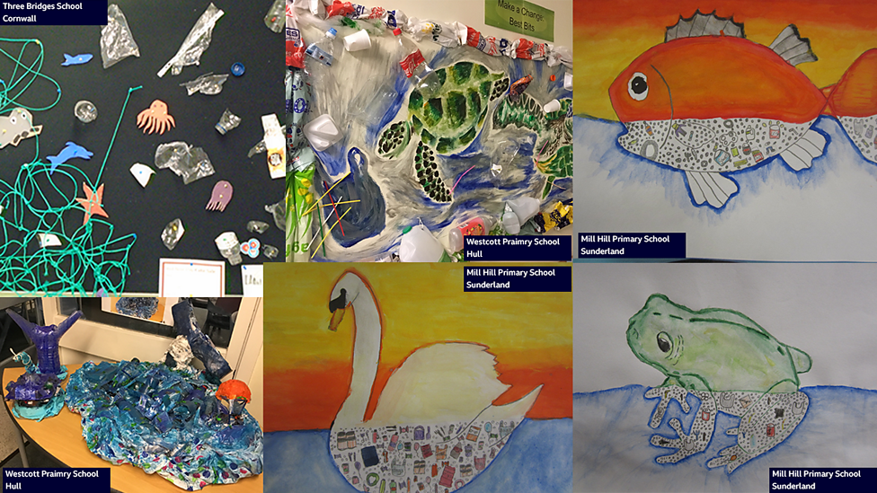 Blue Planet Live Lesson – Your Work - BBC Teach