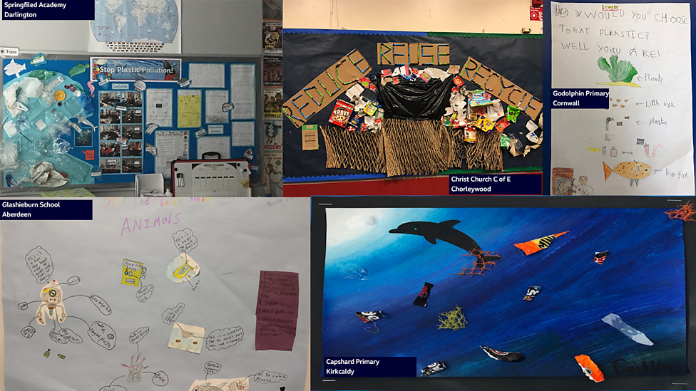 Blue Planet Live Lesson – Your Work - BBC Teach