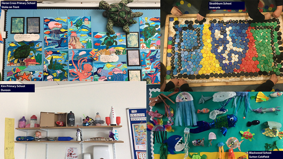 Blue Planet Live Lesson – Your Work - BBC Teach