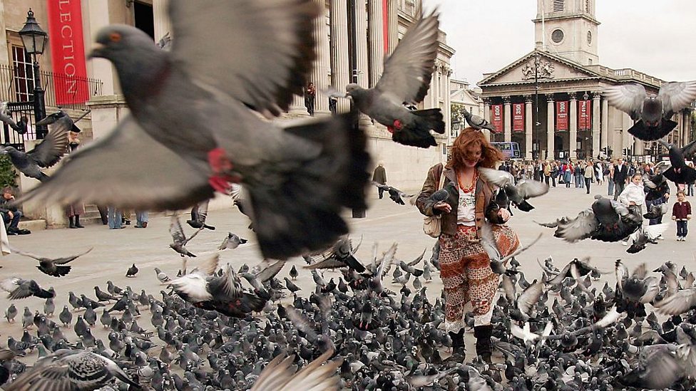 Five unusual protests in history - BBC Bitesize