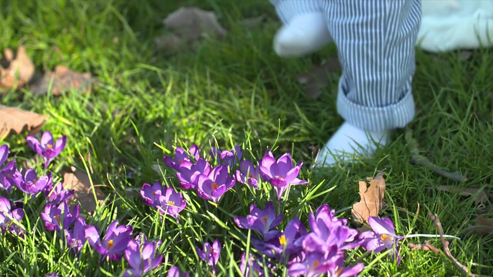 Activities for Babies at 6 Months: Recognising Sounds - BBC Tiny Happy ...
