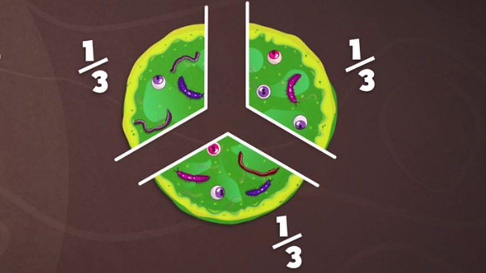 What is a fraction? - BBC Bitesize