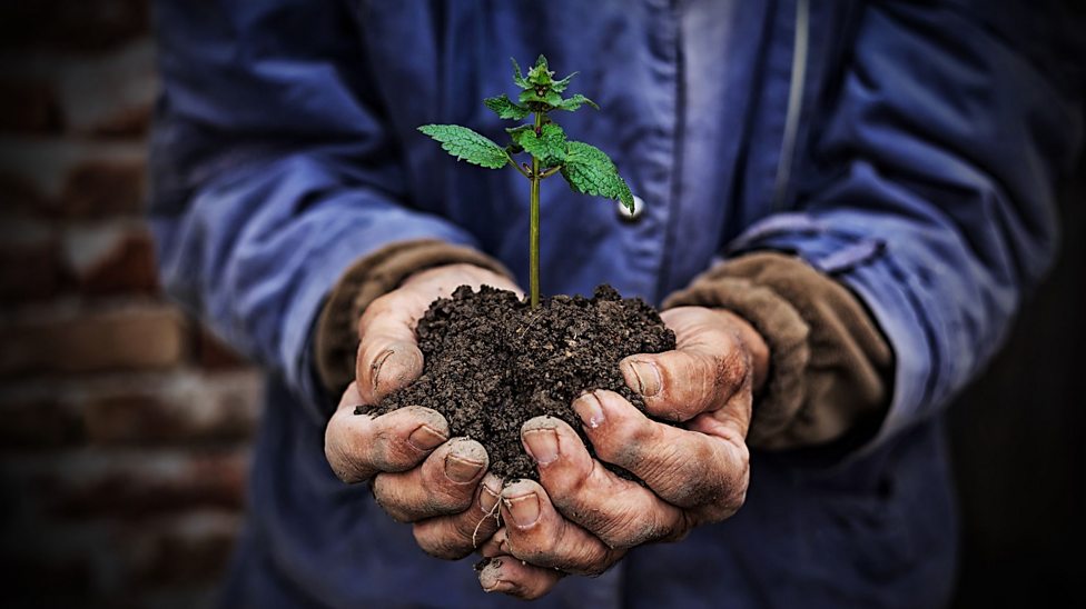 Who invented the weekend? - BBC Bitesize