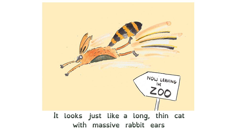 Look in a Book: Rhyme Time - BBC Bitesize