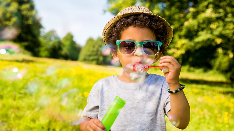 Astronomy vs meteorology: When does summer start? - BBC Bitesize