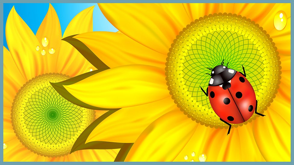 EYFS. Playtime - Spring - BBC Teach