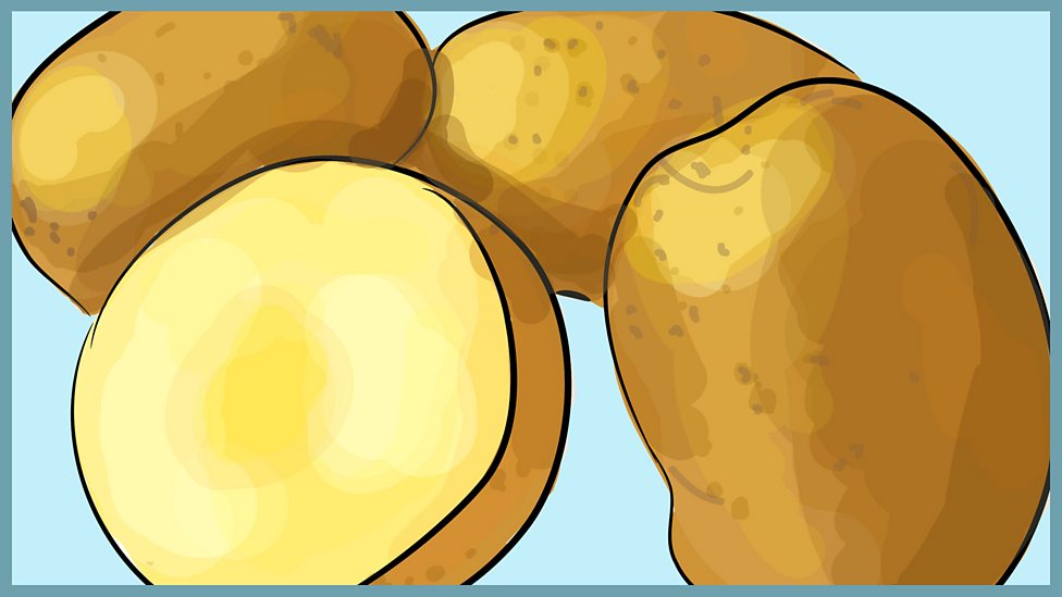 EYFS. Playtime - Snail - BBC Teach