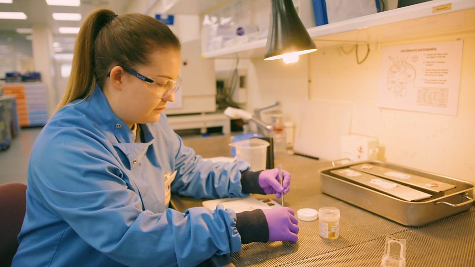 What is a degree apprenticeship and is it right for me? - BBC Bitesize