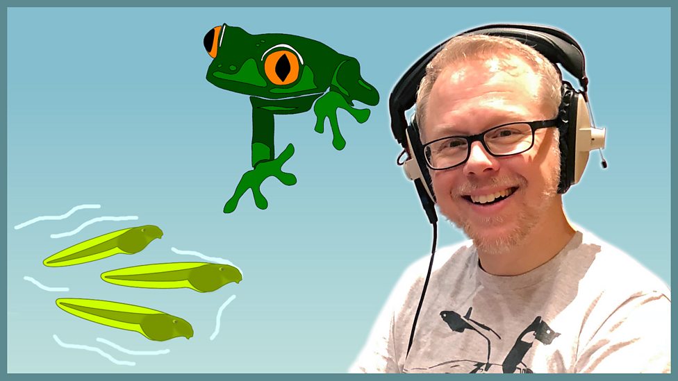 EYFS. Playtime - Bucket and spade - BBC Teach