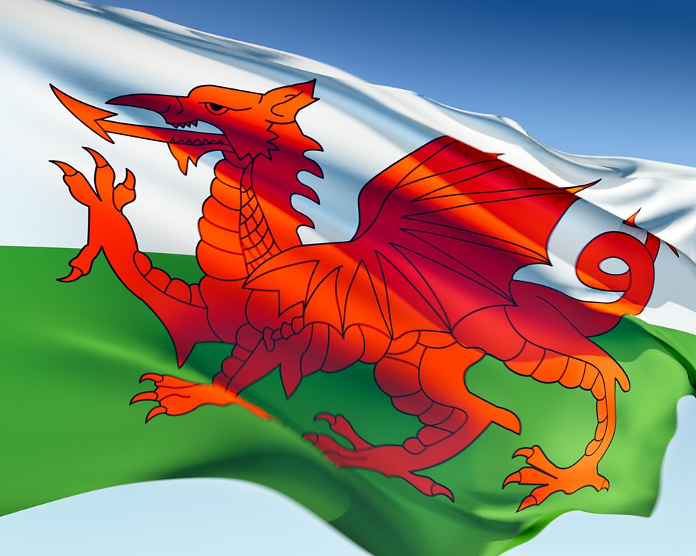 Writing (Foundation and Higher) - Counties and countries - GCSE Irish ...