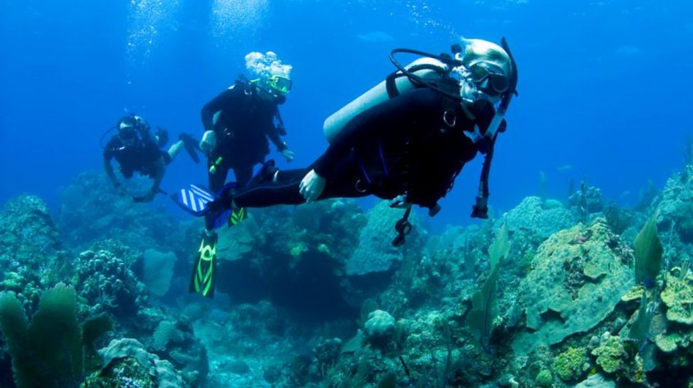 The surprising stories behind five acronyms - BBC Bitesize