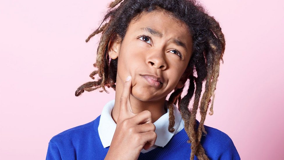 The teenage brain: How can neuroscience help us understand teenagers ...