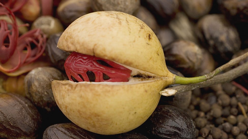 What are the most terrifying foods? - BBC Food