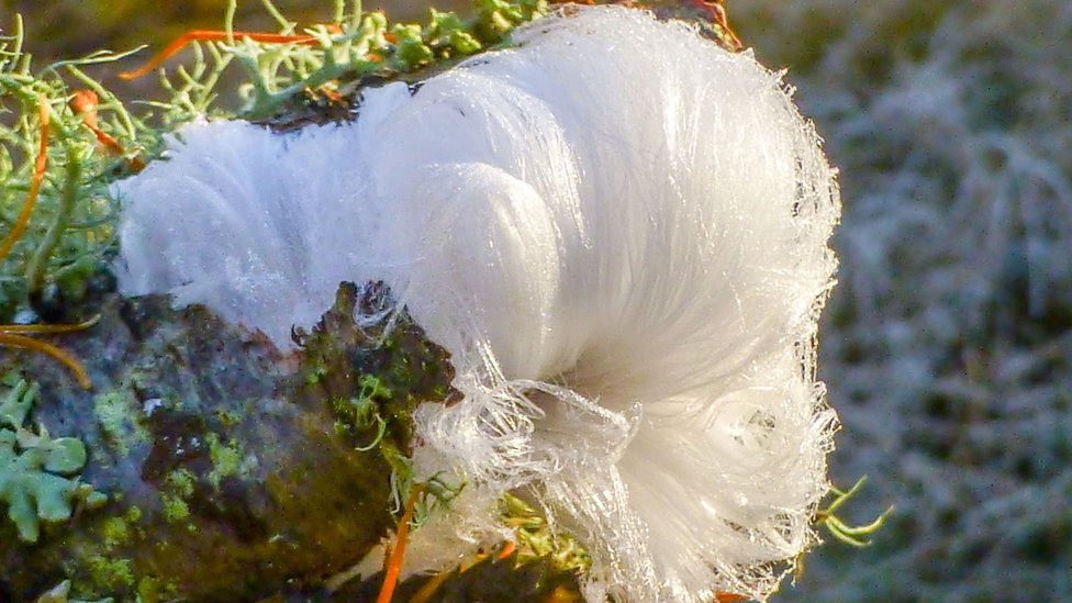 Six photos of real life ice magic - BBC Bitesize