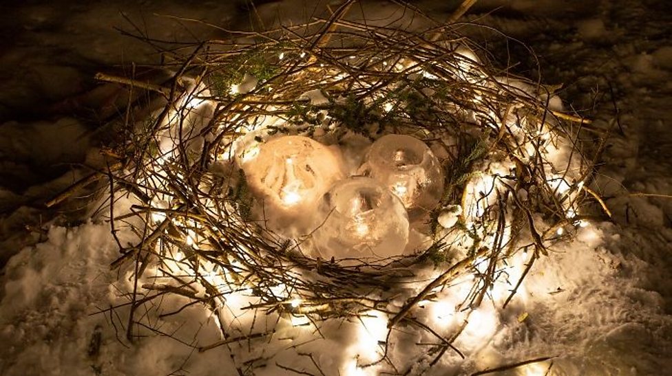 Six photos of real life ice magic - BBC Bitesize