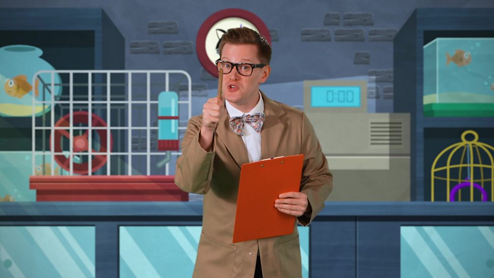 Foundation Stage Maths and numeracy - BBC Bitesize