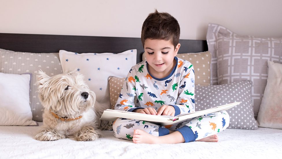 How to support your child's reading at home - BBC Bitesize