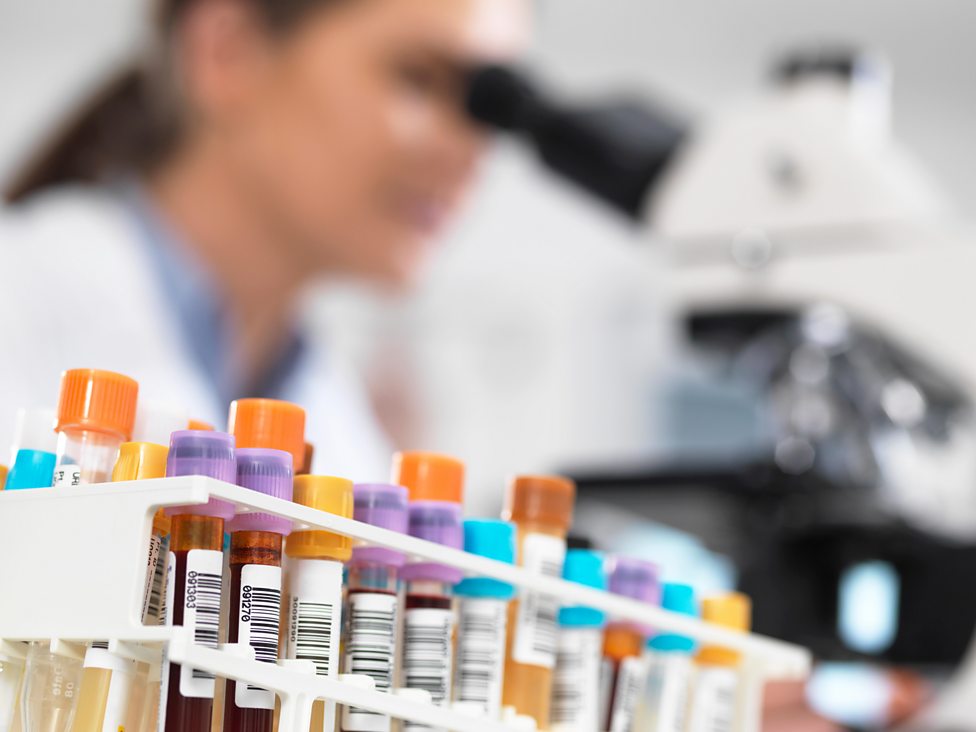 Clinical trials - Clinical trials of vaccines and drugs - Higher Human ...