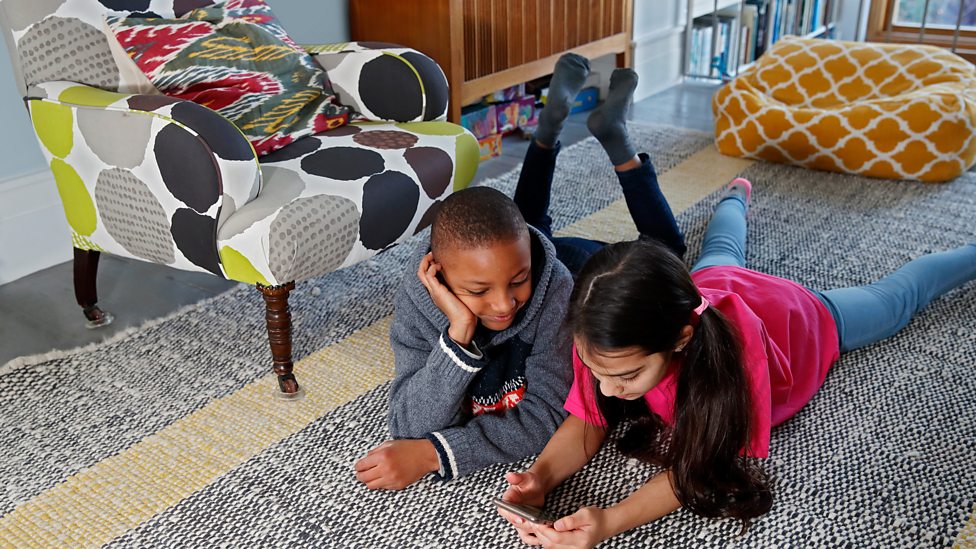 Family and pets – KS3 French – BBC Bitesize