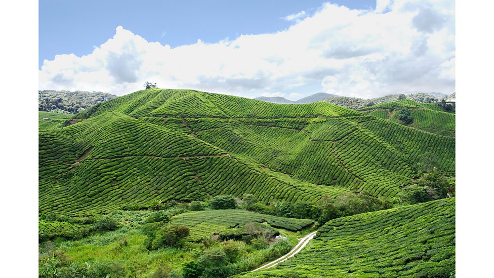 Kate Cranston - BBC Bitesize