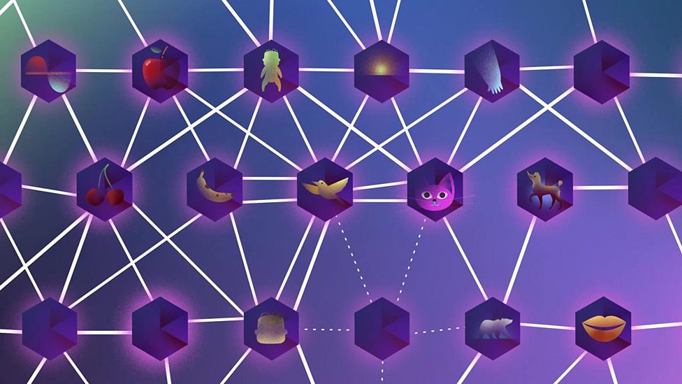 How babies develop brain connections, even before birth - BBC Tiny ...