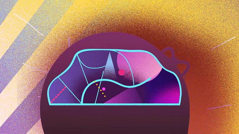 Everything you need to know about babies' brain development - BBC Tiny ...