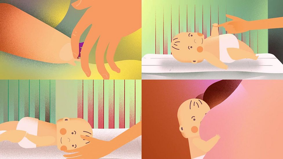 How babies develop brain connections, even before birth - BBC Tiny ...