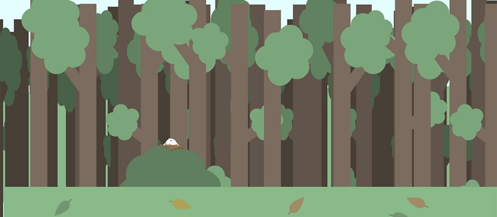 What is a setting? - BBC Bitesize