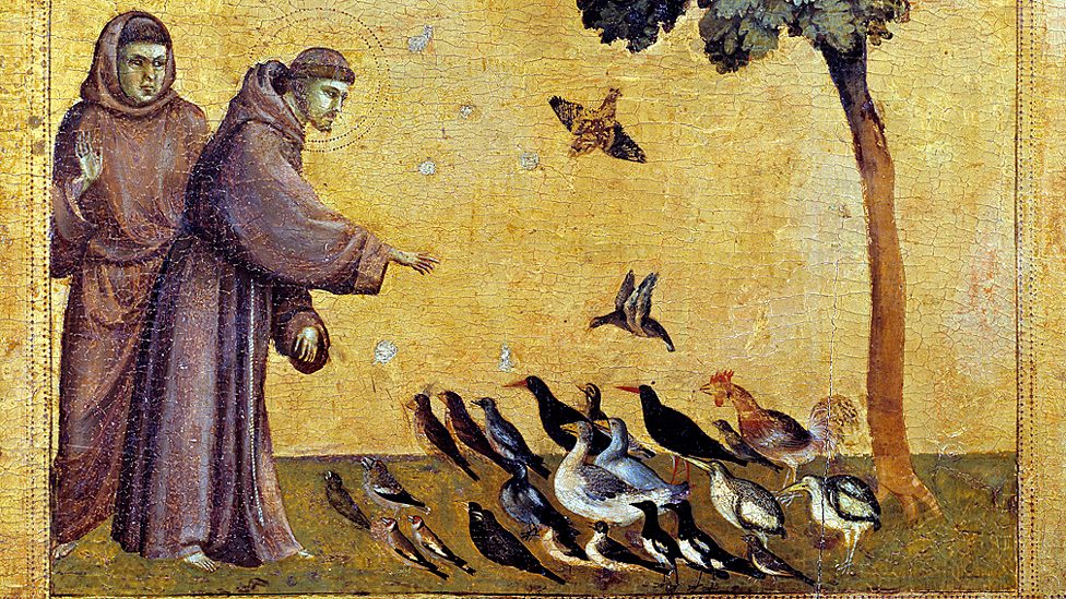 Does it matter how we treat animals? – KS3 Religious Studies – BBC Bitesize