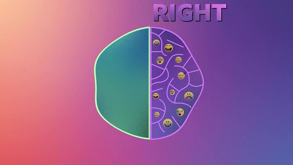 How different parts of a toddler's brain develop at different rates ...