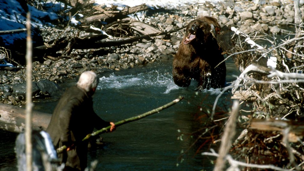Six of the greatest animal actors of all time - BBC Bitesize