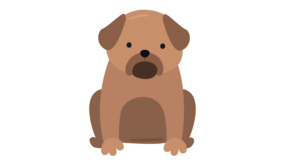 Animals and Pets - KS2 Spanish - BBC Bitesize