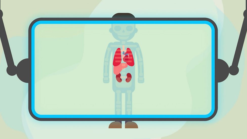KS1 Science: Keeping my body healthy - BBC Bitesize