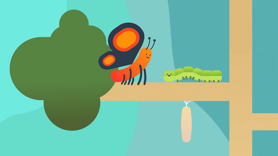 KS1 Science: Plant life cycles - BBC Bitesize