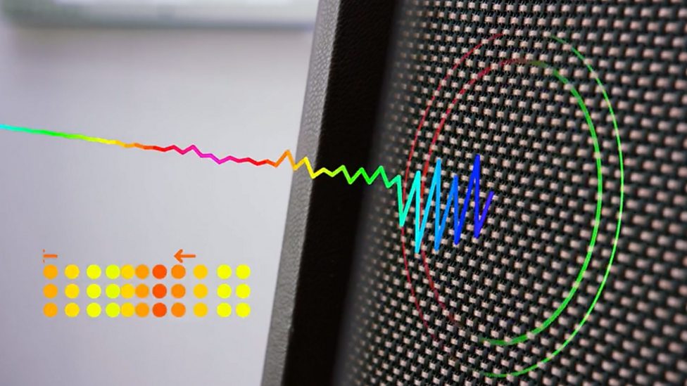 KS1 Science: Animal life cycles - BBC Teach