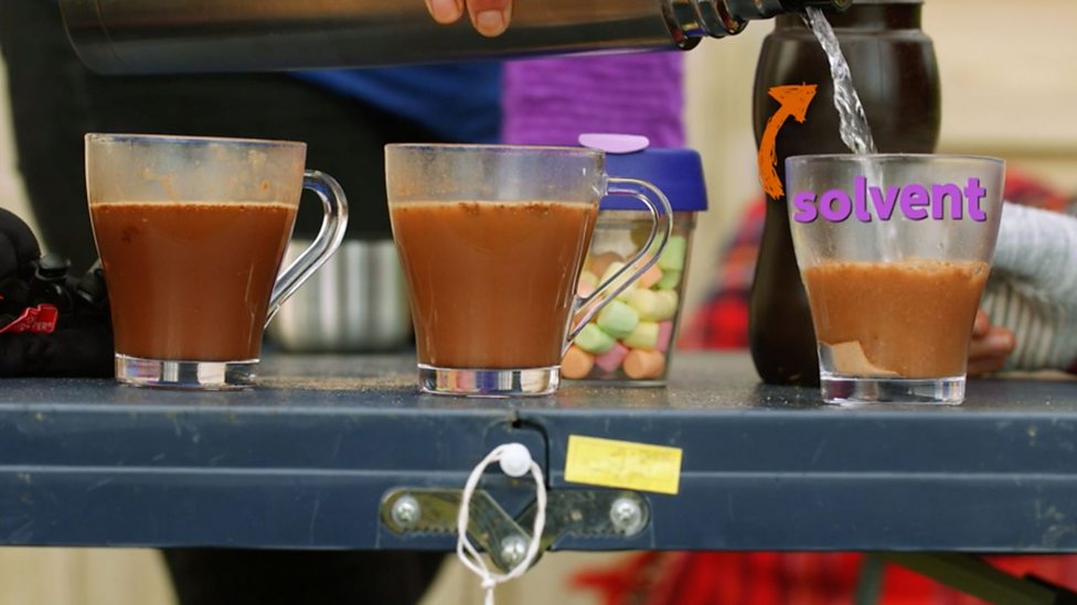 KS1 Science: The food chain - BBC Bitesize