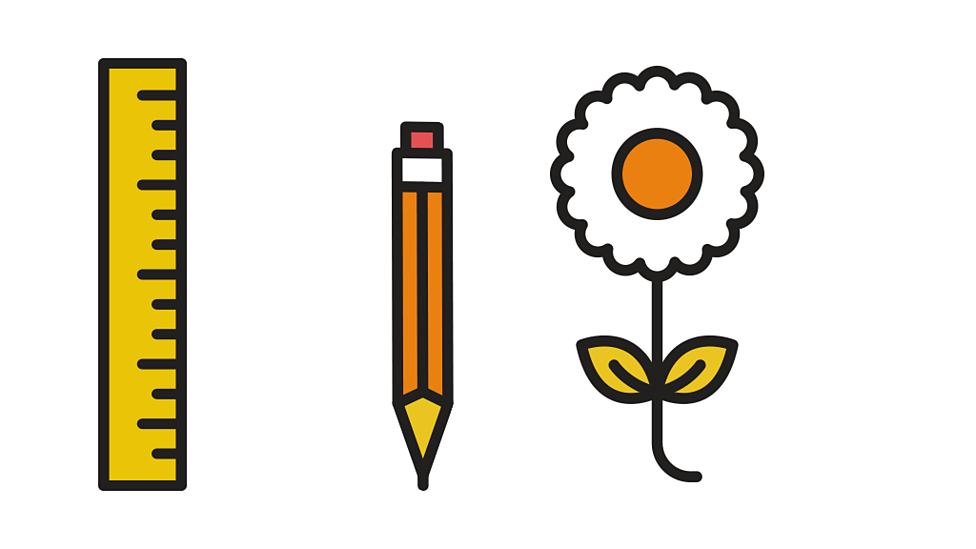 Compare length and height - Maths - Learning with BBC Bitesize - BBC ...