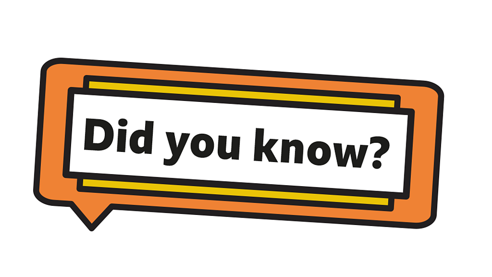 Business and fair trade - BBC Bitesize