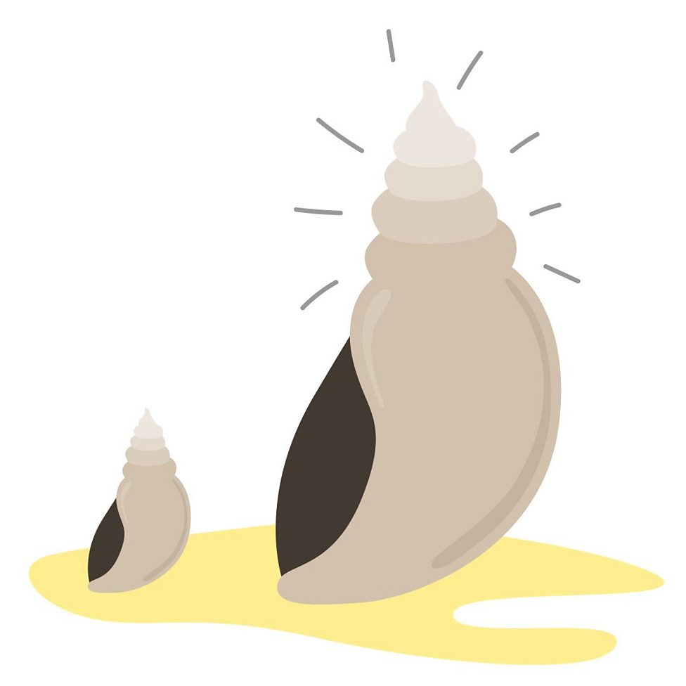 What is alliteration? - BBC Bitesize