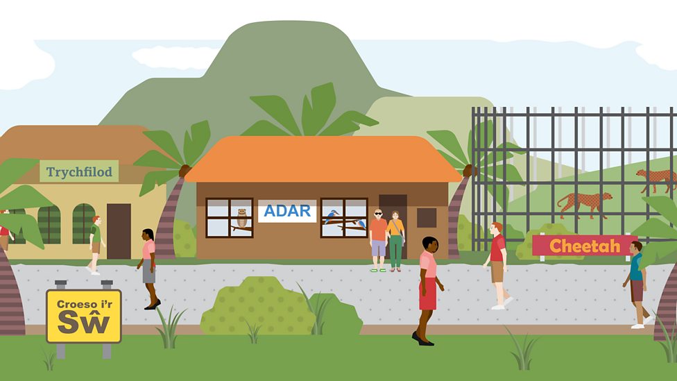 Creu trafodaeth – Trefnu dy drafodaeth - Cymraeg - Cyfnod Allweddol 2 ...