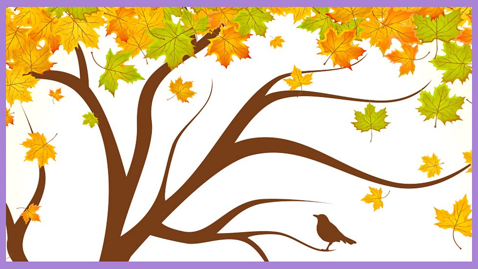 KS1 Dance: Let's Move. Autumn days - BBC Teach